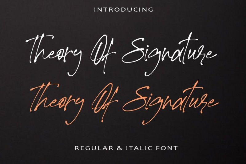 Theory of Signature — Amin Mario